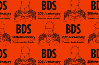 BDS MOVIMIENTO | BDS Movement
